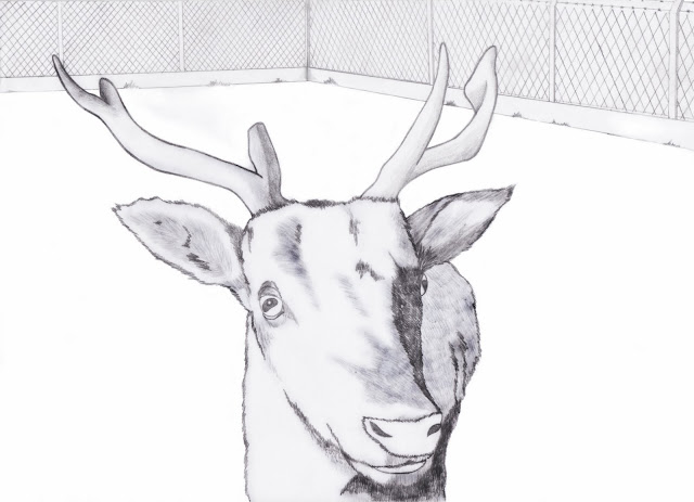 Mariano Ilustrado: Ciervo