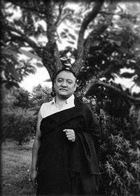 THE KARMAPA: Shamarpa and the encounter with Chobgye Trichen Rinpoche