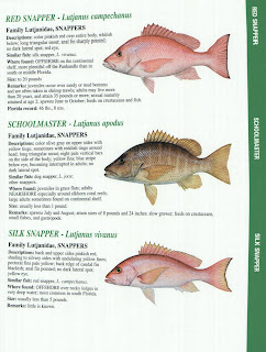 Crystal River Fishing Report: Florida Gulf Fish Identification Charts