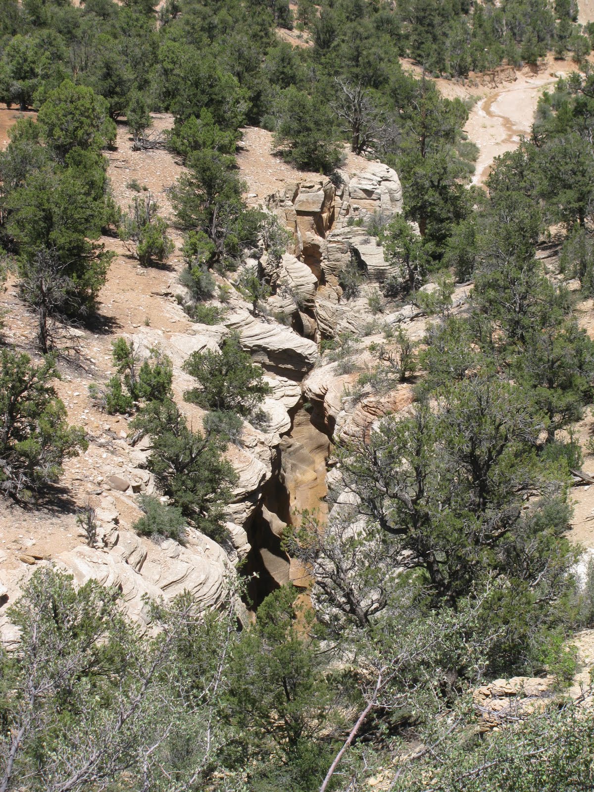 Backyard Excursions: Willis Creek and Bull Valley Gorge