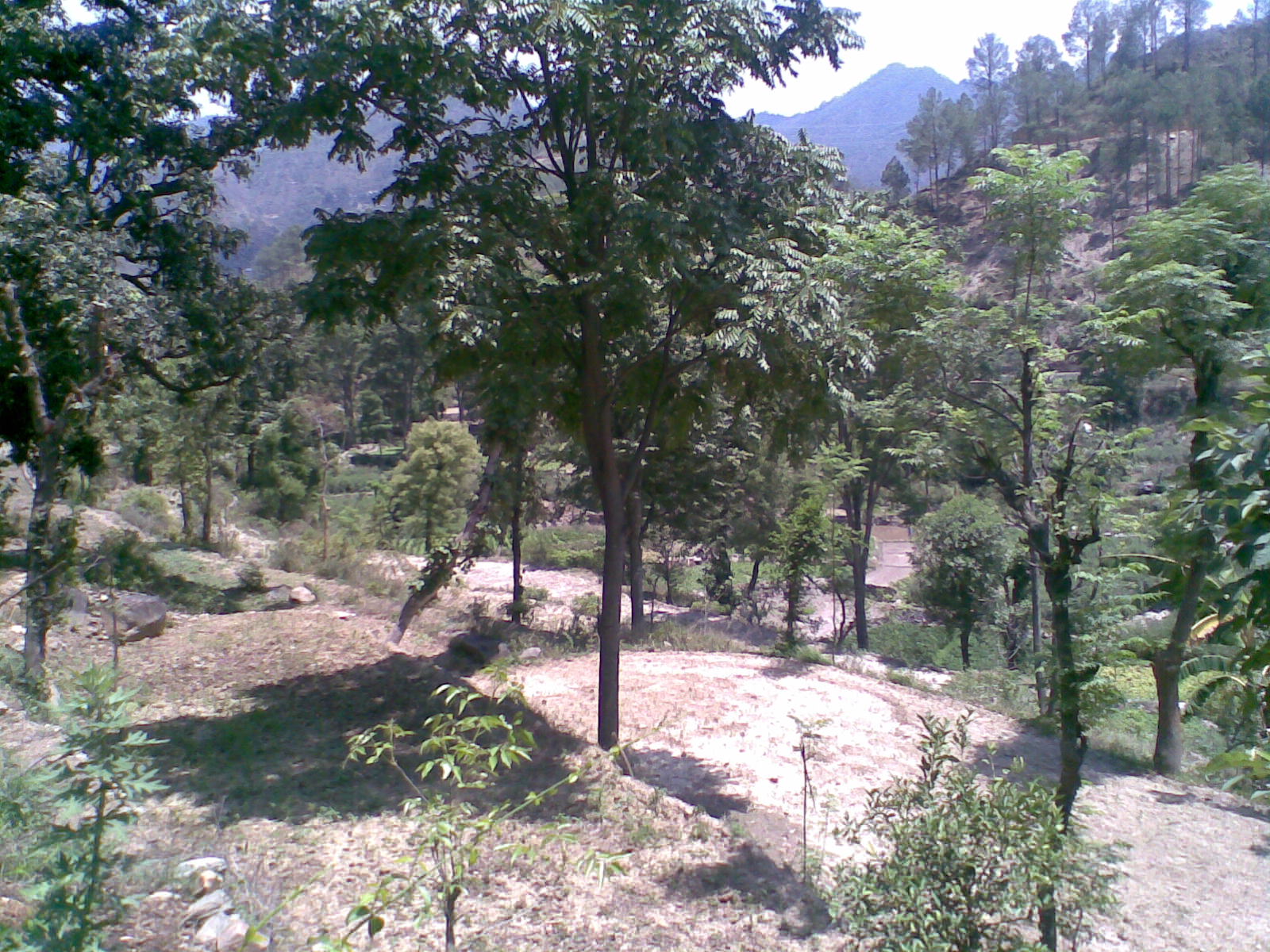 Pauri Garhwal Online - Pauri Garhwal, Garhwal Region , Uttarakhand ...