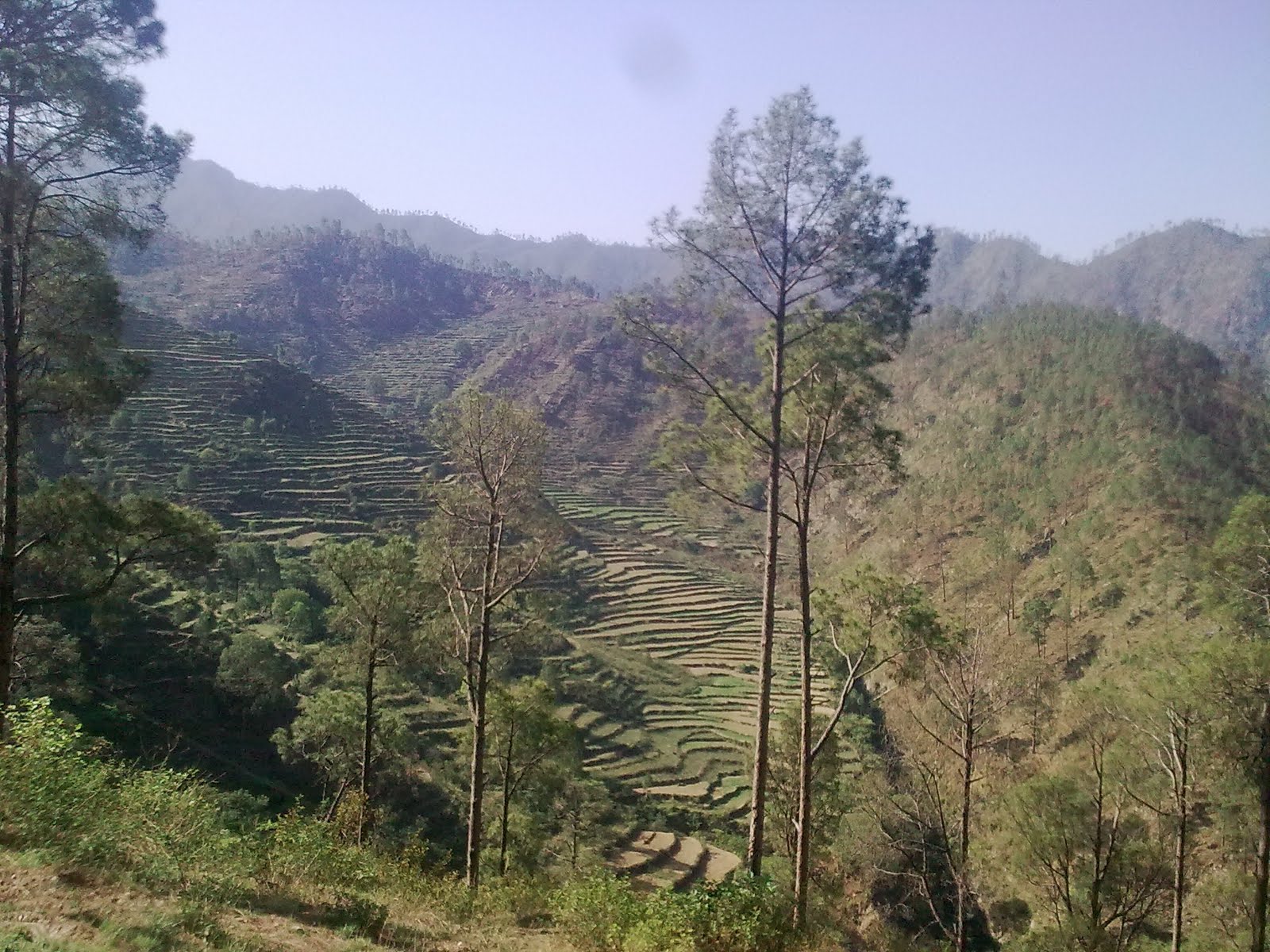 Pauri Garhwal Online - Pauri Garhwal, Garhwal Region , Uttarakhand ...