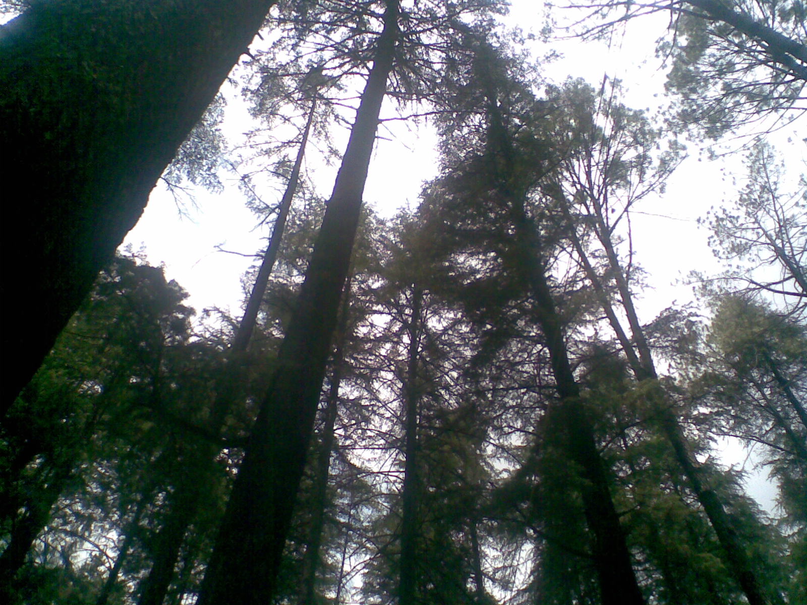 Pauri Garhwal Online - Pauri Garhwal, Garhwal Region , Uttarakhand ...