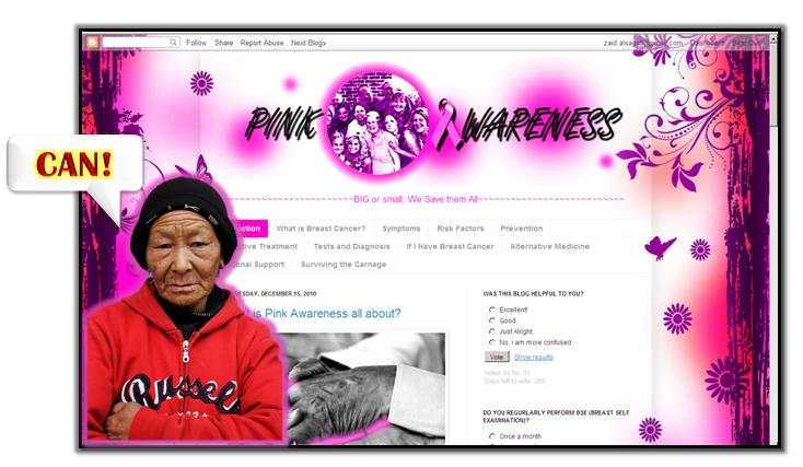 ZaidLearn: January 2011