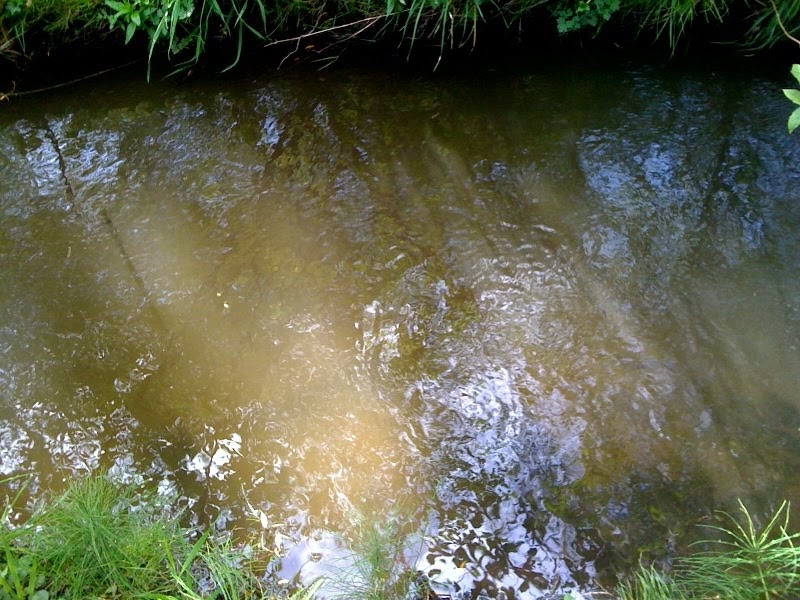 Little Swamp Creek: What happens when a 400,000-gallon stormwater ...