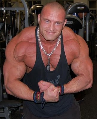 world bodybuilders pictures: handsome hard muscles swedish bodybuilder ...