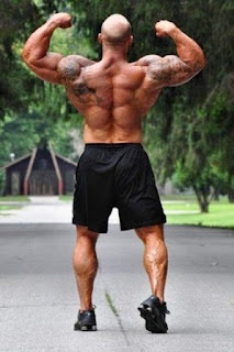 world bodybuilders pictures: mike van wyck bodybuilder