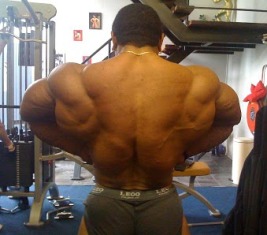 world bodybuilders pictures: different waists of bodybuilders from all ...