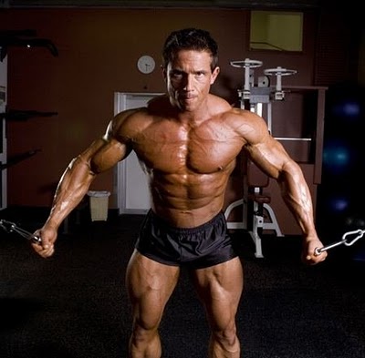 world bodybuilders pictures: bodybuilder david naugler in gym