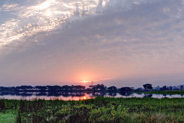 Ravi Karandeekar's Pune Real Estate Market News Blog: Balador - A 45 ...