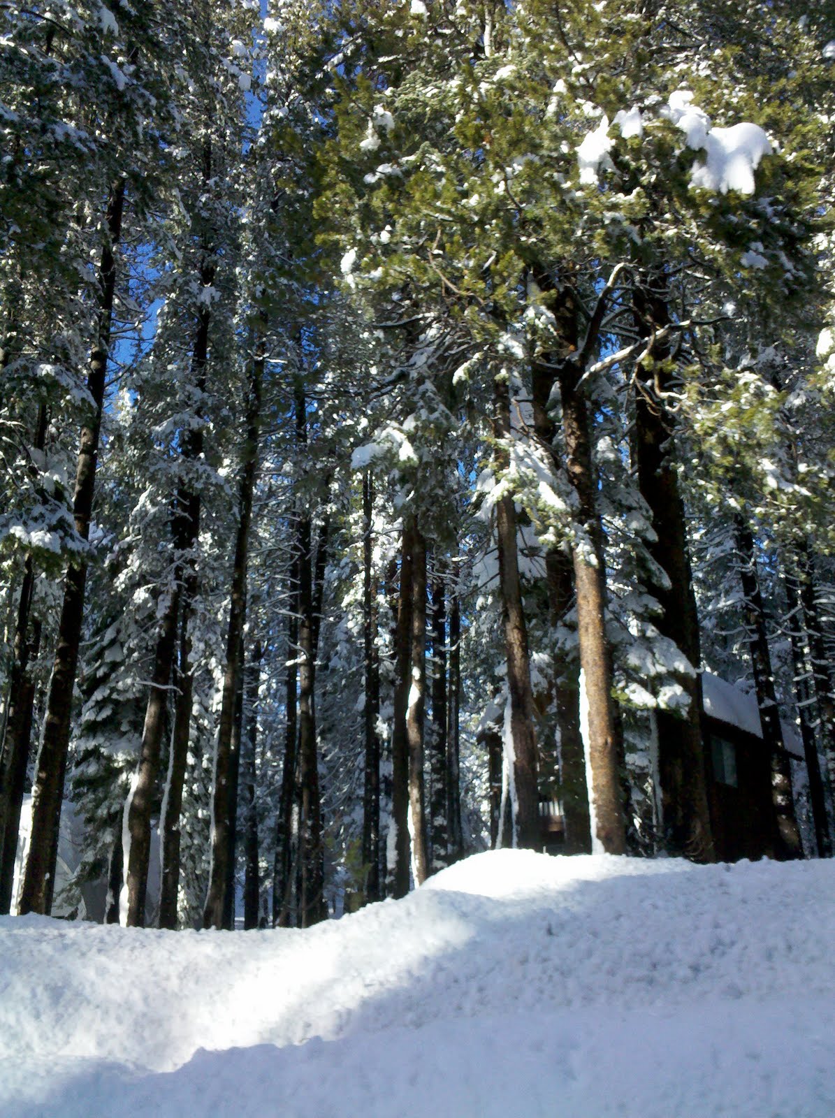 Western Weather Group Blog