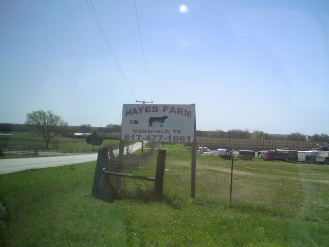 Life's like that!: March 2010