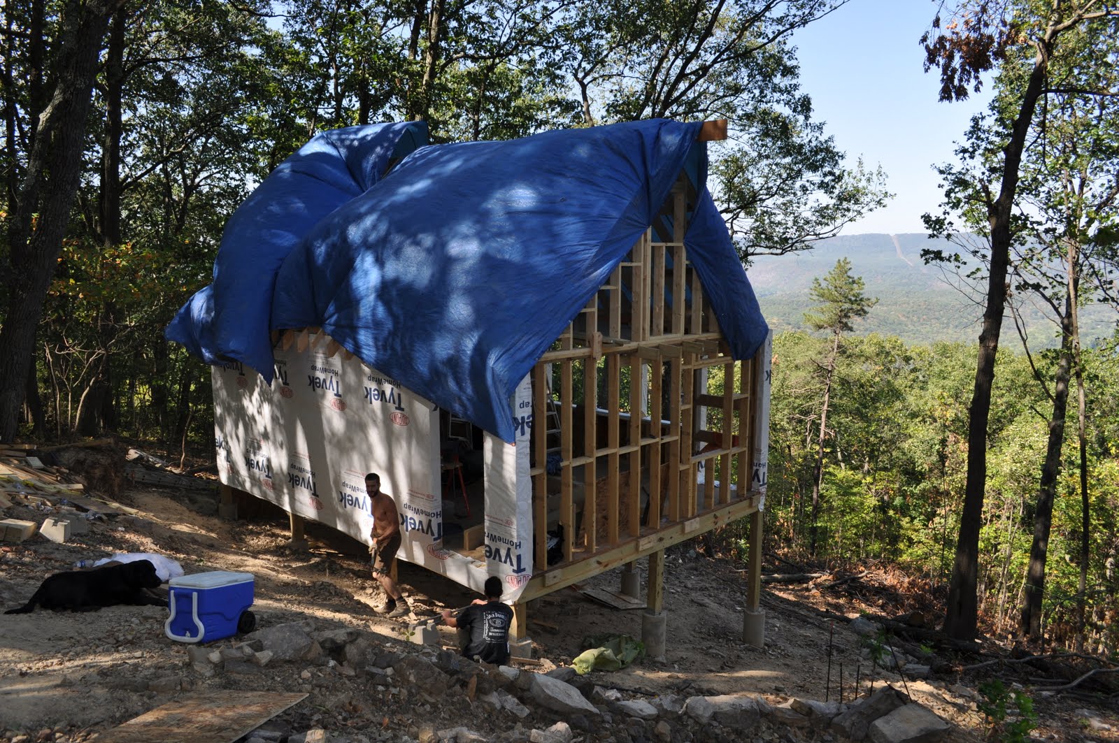 WVA Cabin: Front Porch, Front Overhang, Shed Dormer, Windows....