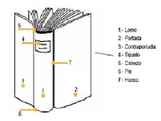 AUXILIAR DE QUINTO GRADO: Partes de un libro de texto