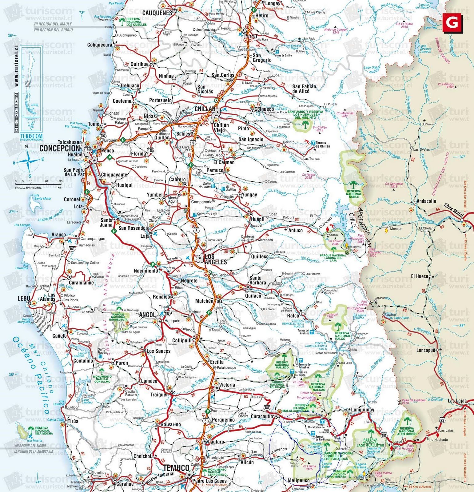 Entre bosques: Parque Nacional Conguillío