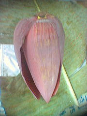 Mang Doming's Farm: Banana or Saging