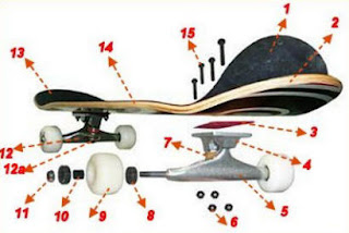 Skateboard: Skateboard Information
