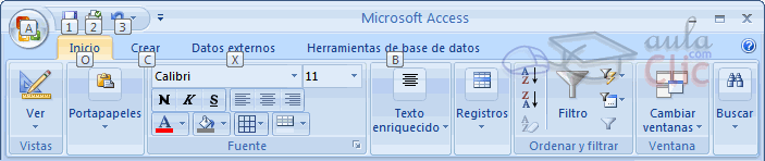 Microsoft Access 2007: Elementos Básicos De Access