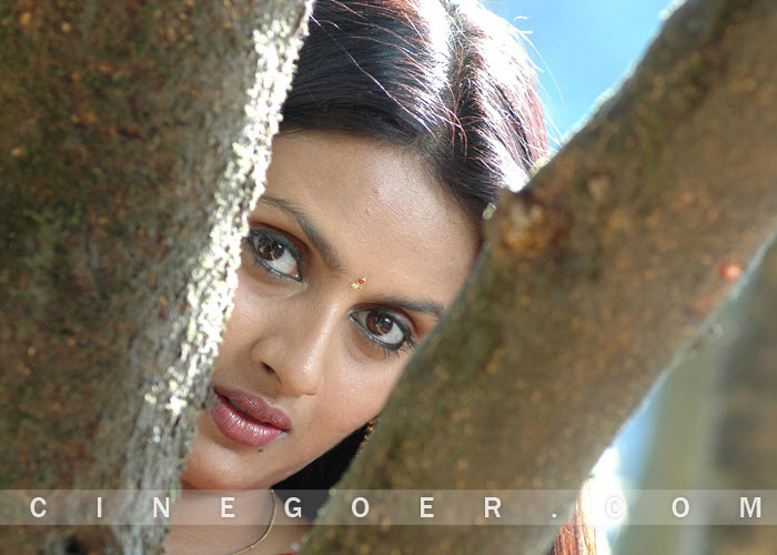 Kalyani Gallery, Kalyani Stills, Tamil Actress Kalyani stills, Kalyani ...