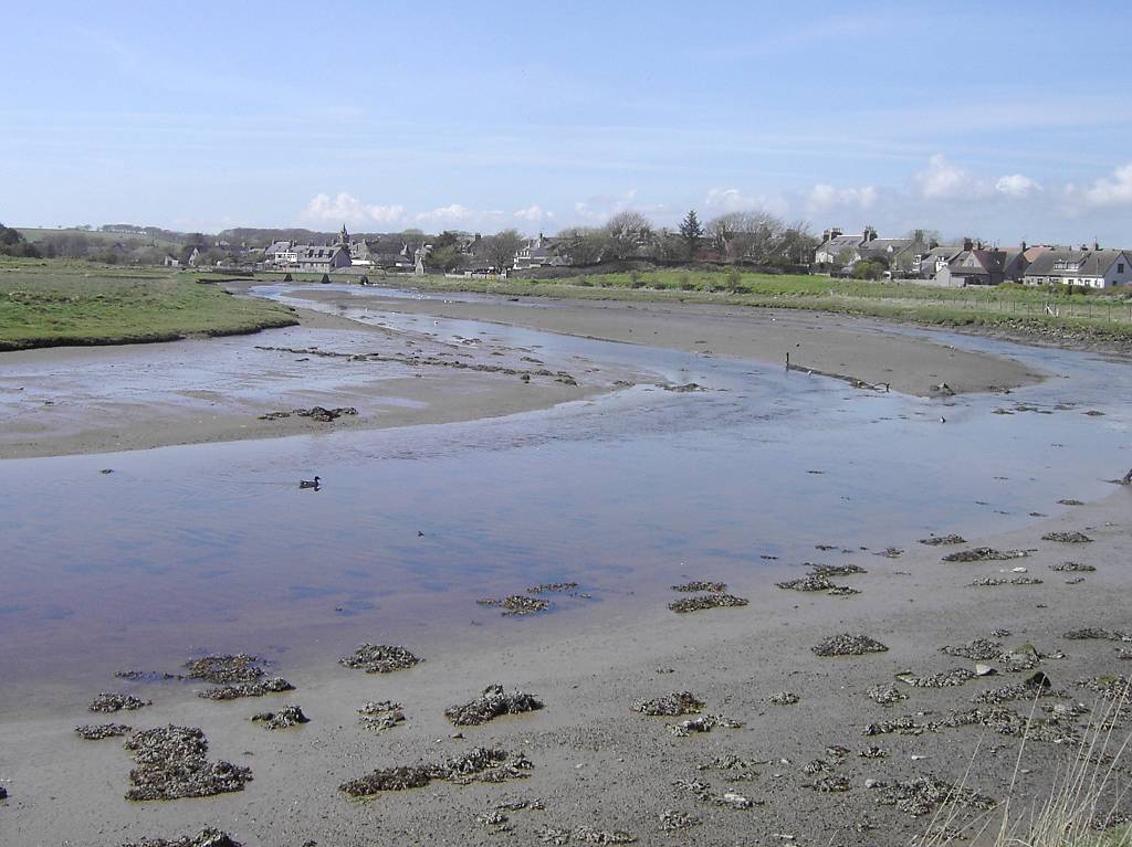 Turn Left at Bognor Pier: Walk 177 -- Newburgh to Cruden Bay