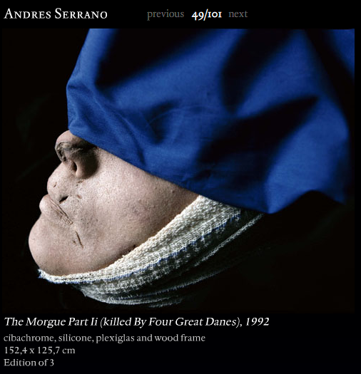 Art Kindle: Andres Serrano- The Morgue