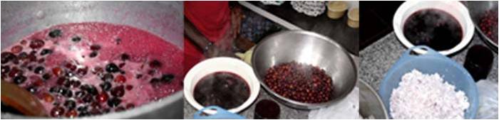 Jessie´s Cooking Tips: COROZO