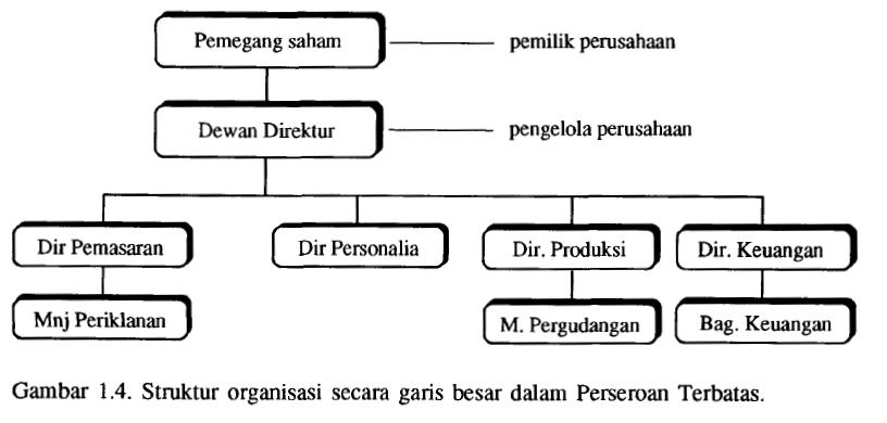 Irfan Nurdiansyah: Menganalisis Perseroan Terbatas