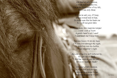 Blog and Pony Show: A Horse's Prayer