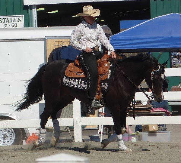Blog and Pony Show: Region 5 Arabian Horse Show (reining championship)