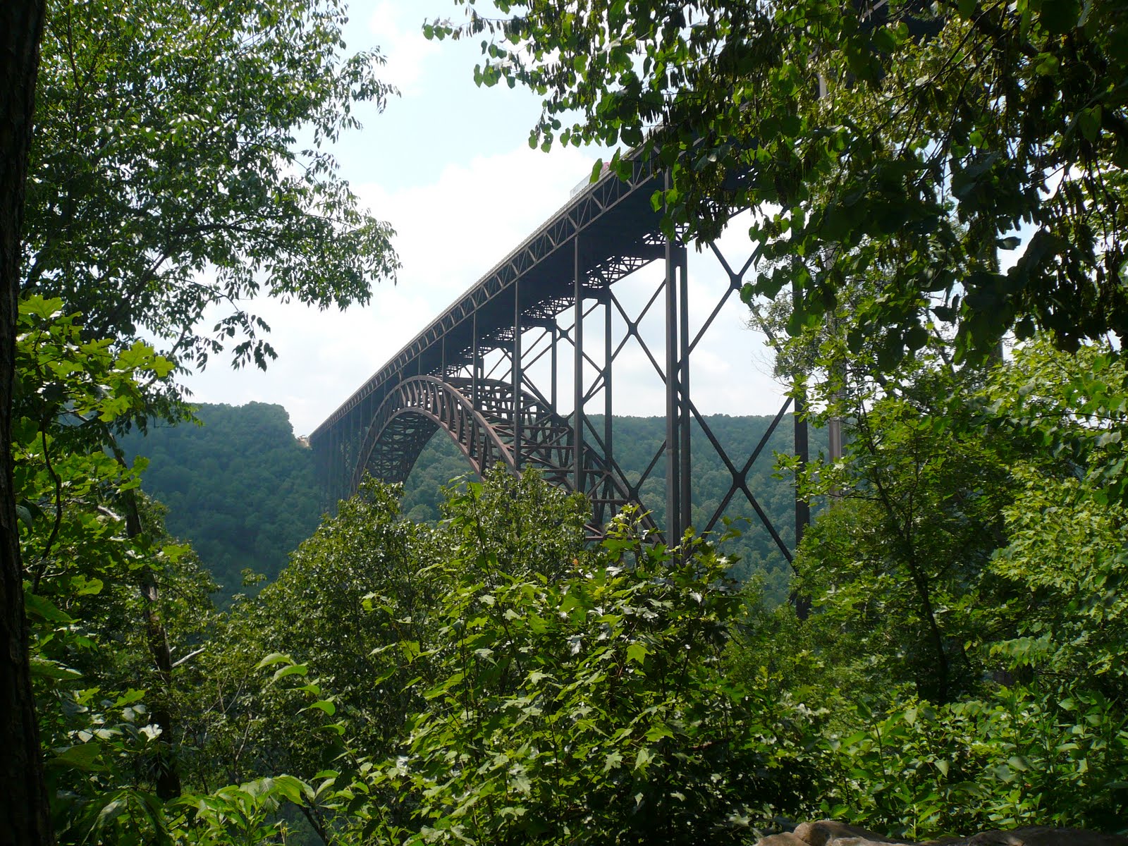 Steven Sorci: Dr. Hockey