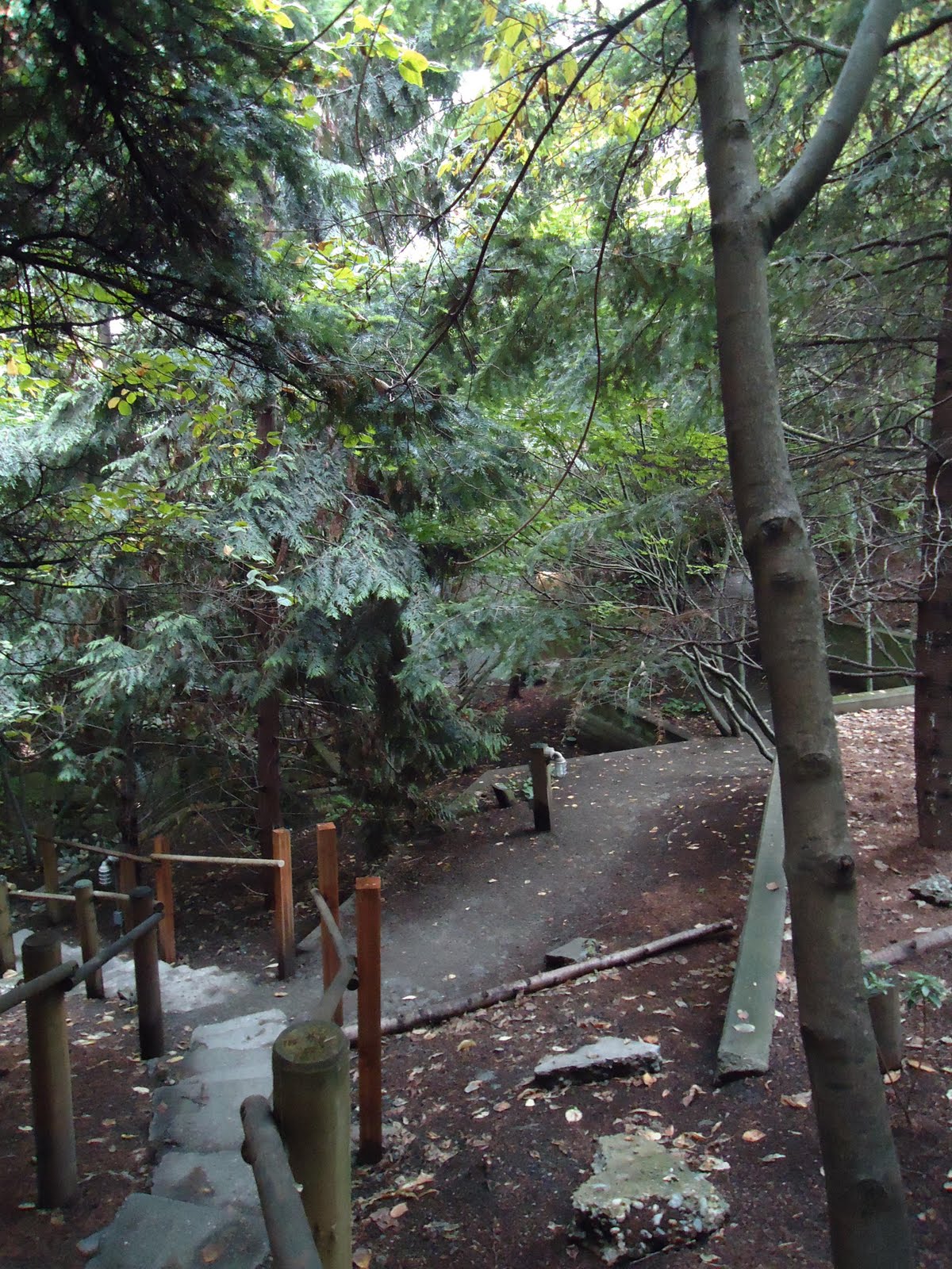 Matthew's Washington Trip: REI Store in Seattle, WA