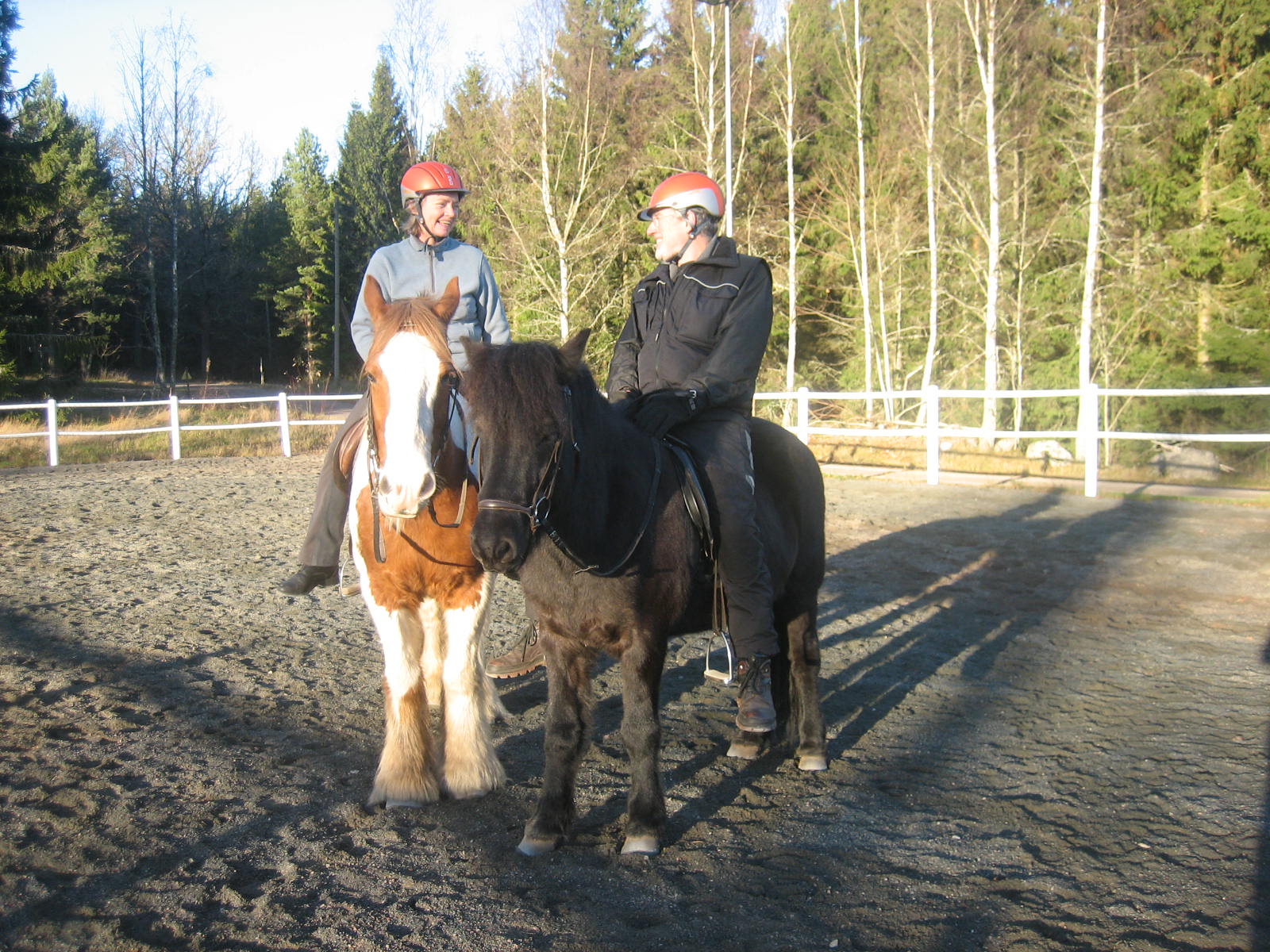 Alles-Heller in Schweden: Unser inzwischen gemeinsames Hobby Reiten