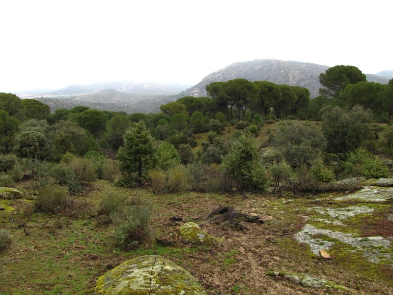 NATURALEZA SALVAJE: RIO COFIO Y ENTORNO.