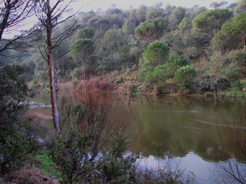 NATURALEZA SALVAJE: RIO COFIO Y ENTORNO.
