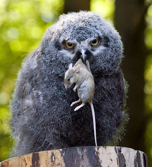 Ayudanos a salvar el mundo. Recuerda que el nos da vida y nosostros que ...
