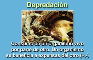 Ayudanos a salvar el mundo. Recuerda que el nos da vida y nosostros que ...