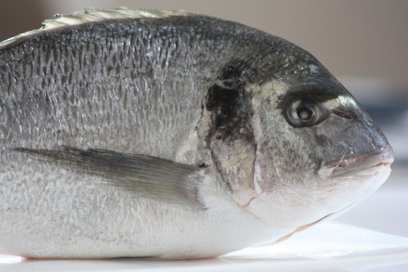 OHLALA que c bon !: DAURADE ROYALE EN CROUTE D'HERBES ET RISTE D'AUBERGINE