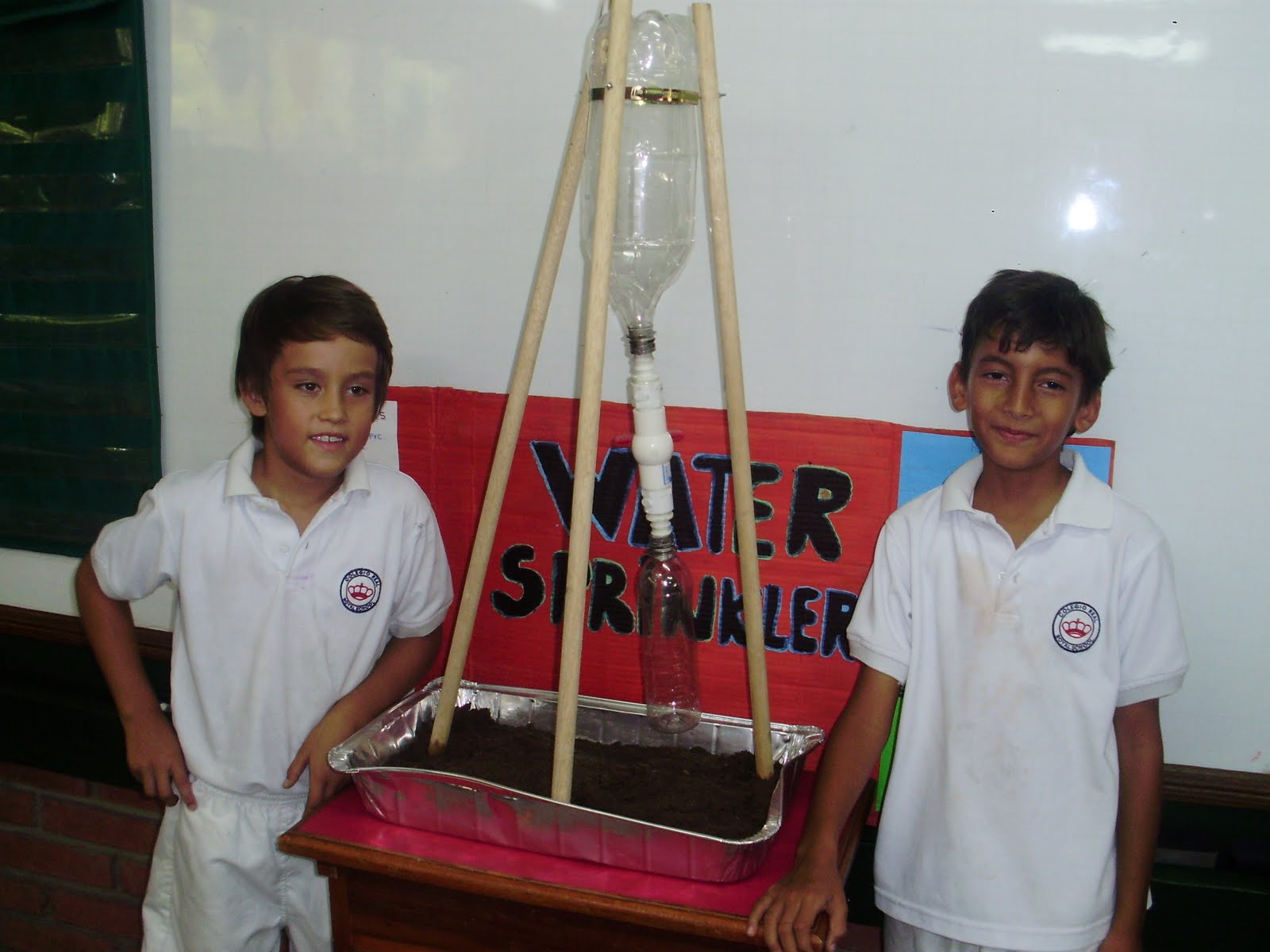 MRS. SILVI: LOS PROYECTOS DE SCIENCE