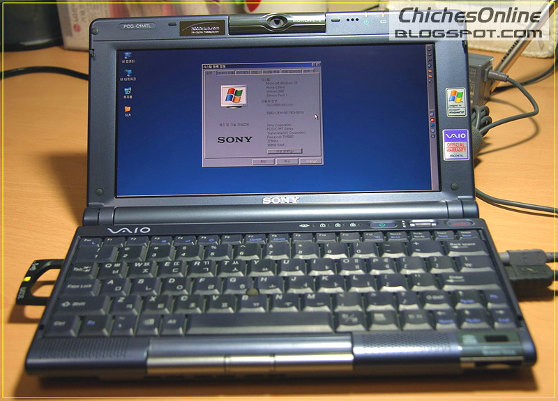 Chiches Online: Mini Notebook Sony Vaio Picturebook