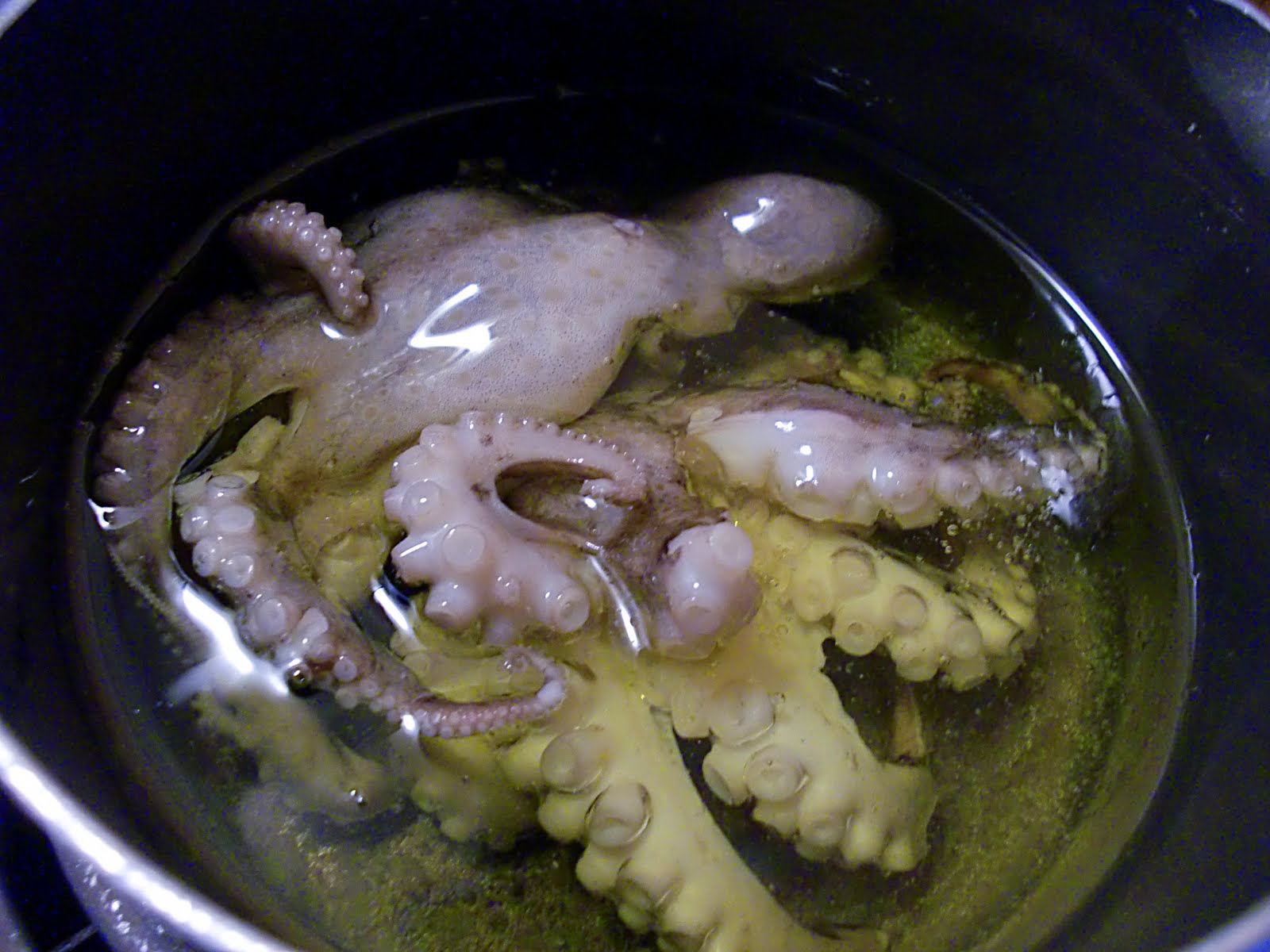 ChezWhat?: grilled swordfish, poached baby octopus and fresh cured ...