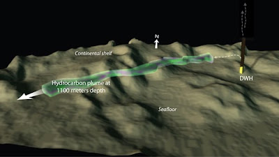 Endangered Spaces blog: Update on BP Oil Plumes in Gulf of Mexico (and ...