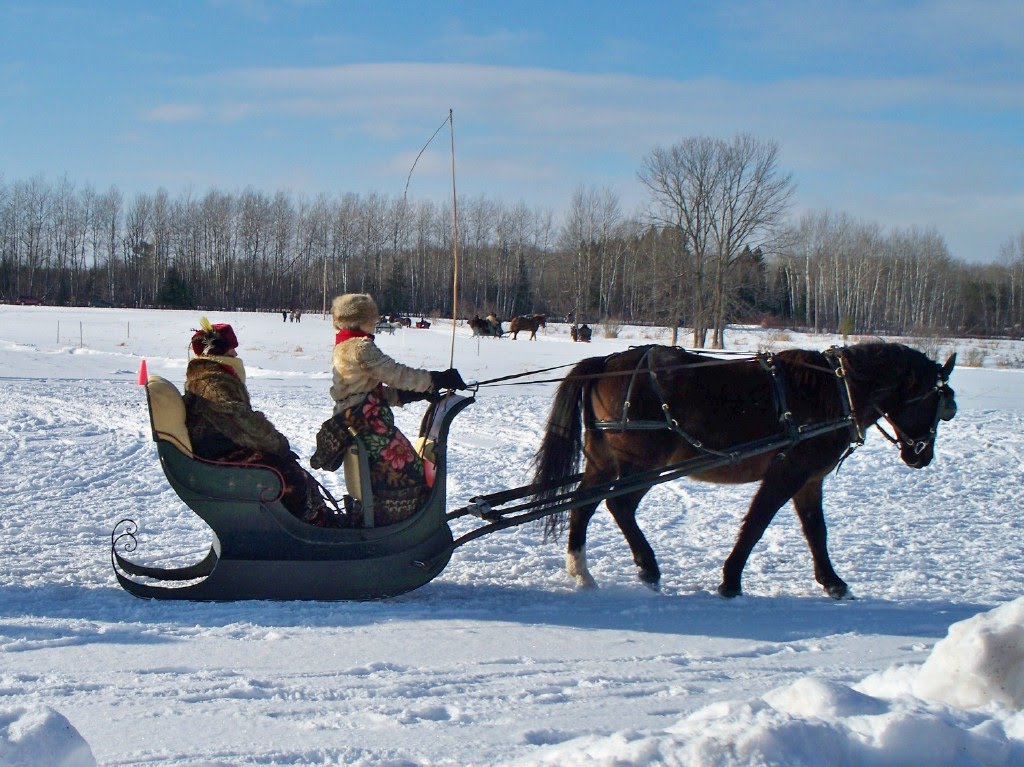 Bayfield Wisconsin Homepage Blog: Sleigh and Cutter parade