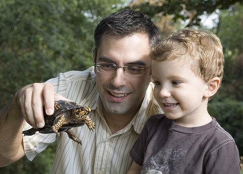 Vitamins You Should Ensure Your Turtles Have As Pets | Our Pets, We ...