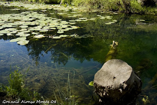 Fotografía de Naturaleza: 2008