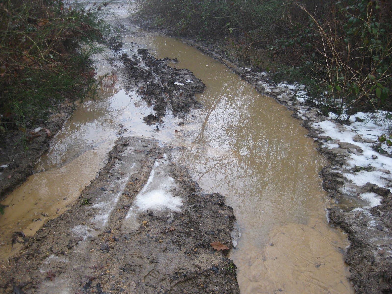2BRAS2JAMBES, sur le vif: Apprendre à nager dans la boue...