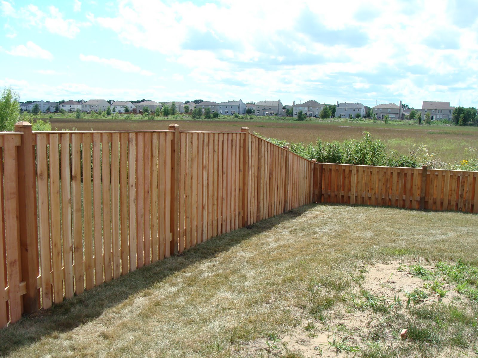 The Martha Initiative: The finished fence