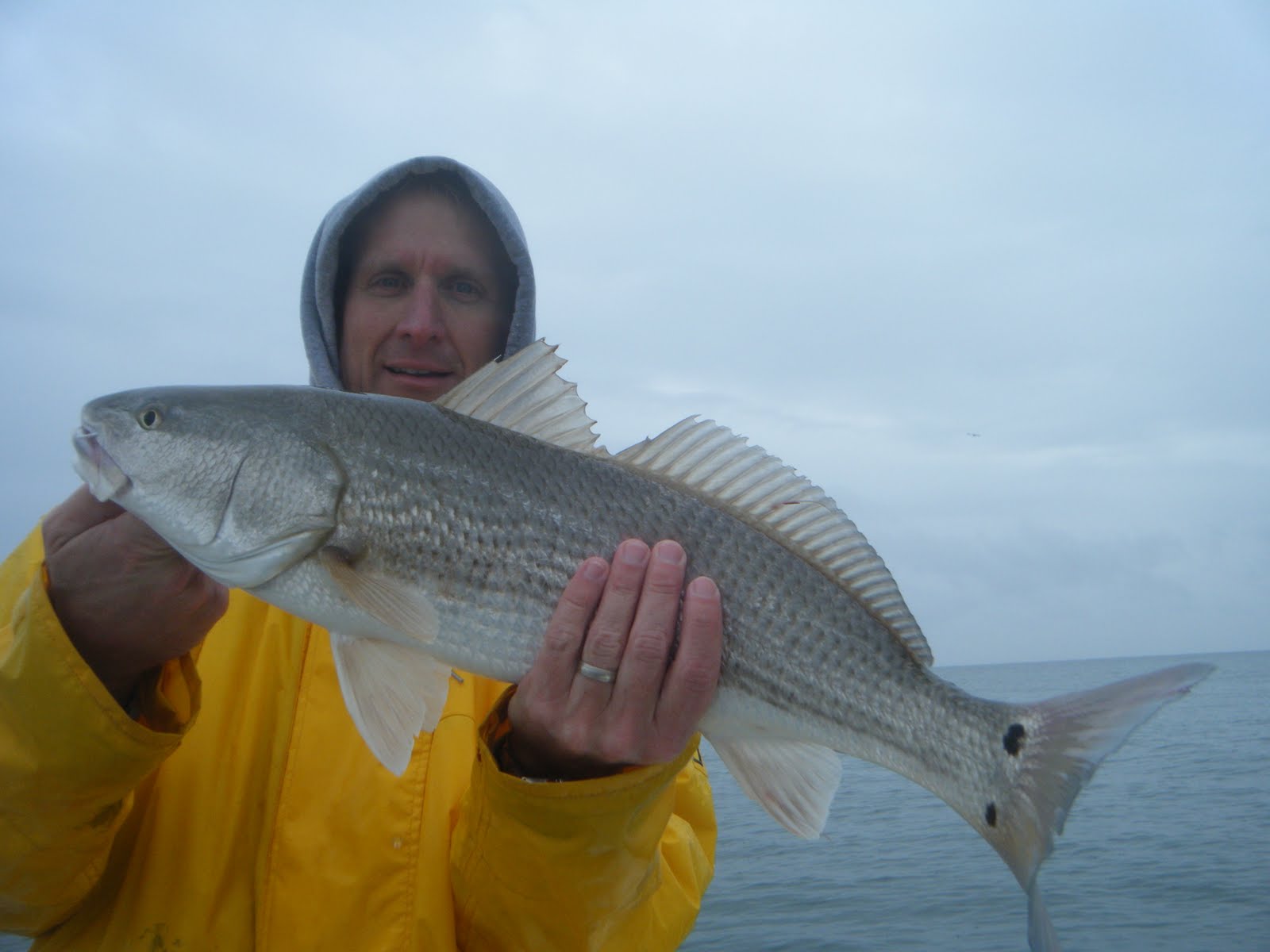 NCCHARTERFISHING-Capt.'s Jeff Cronk and MIke Taylor-Crystal Coast ...