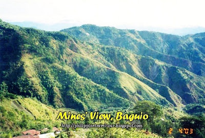 Mines' View Park, Baguio City, Philippines ~ Philippine Travel Tour
