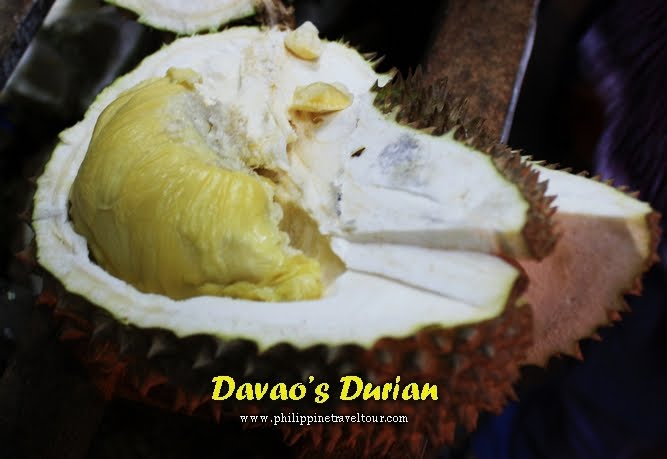 Davao's Durian ~ Philippine Travel Tour