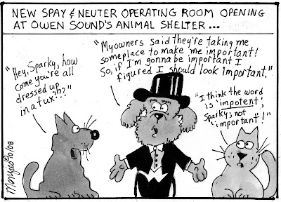 Editorial Cartoons from Owen Sound: published Oct. 22/08: New Spay and ...